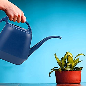 Fasmov Plastic Watering Can, 1-Gallon, Blue