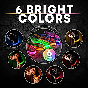 Illumiseen LED Dog Collar USB Rechargeable - Bright & High Visibility Lighted Glow Collar for Pet Night Walking - Weatherproof, in 6 Colors & 6 Sizes (Green Large)