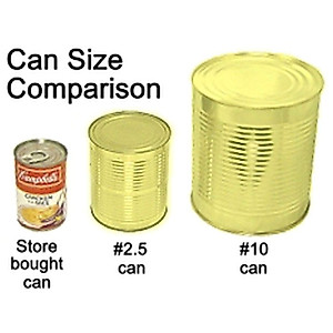 Whole Mandarin Orange Segments #10 Can in Light Syrup 6 Pack Large Cans