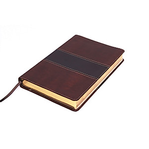 Reina Valera 1960 Biblia del Pescador, letra grande, caoba símil piel | RVR 1960 Fisher of Men Bible Hand size, Mahogany LeatherTouch (Spanish Edition)