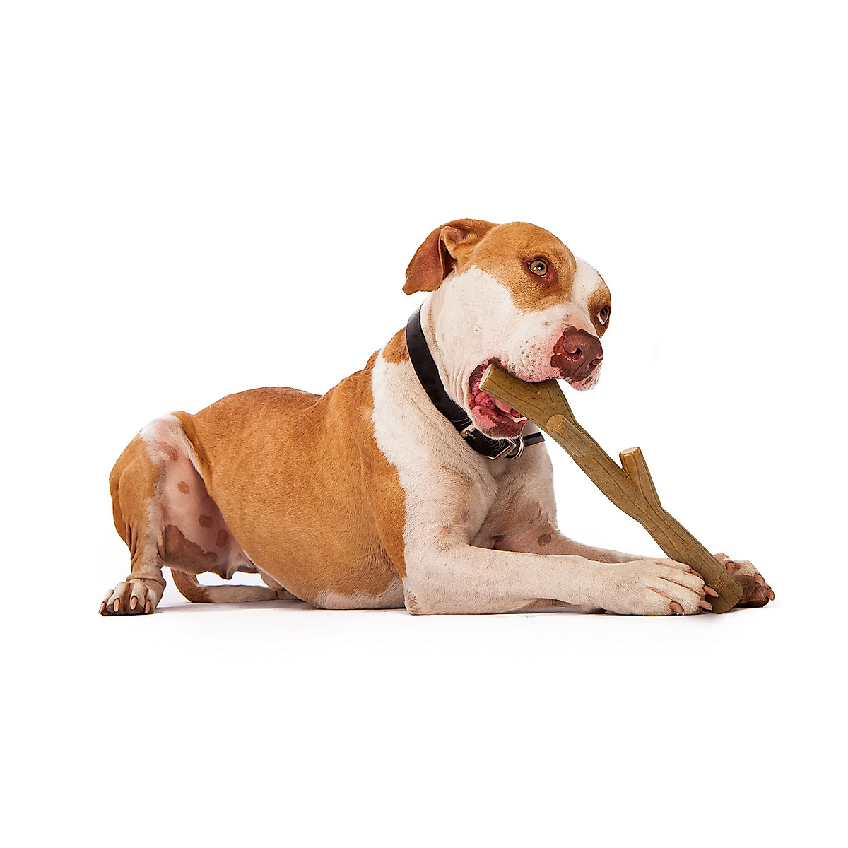 Power Bone Pet Chew Toy for Dogs - Durable, Non Toxic & Pet Safe - Best for Aggressive Chewers, Long Lasting Dental Health, Dog Teeth Cleaning, Dog Life Stages - Throw Stick 12"