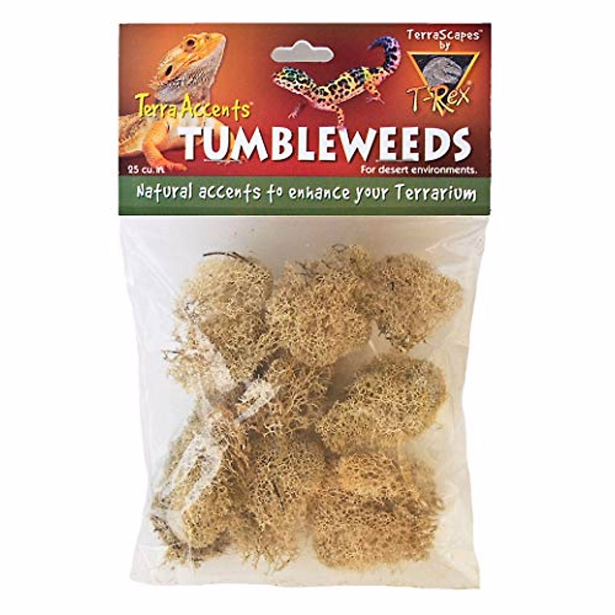 T-Rex Reptile Terrarium Décor - Terra Accents Tumbleweeds