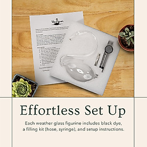 Blackswan Storm Glass Weather Predictor Crystal Swan Figurine | Unique Barometer Personal Weather Station for Office Home Decor for Men, Women, Kids, Adults | Liquid Pressure Meteorology Tools