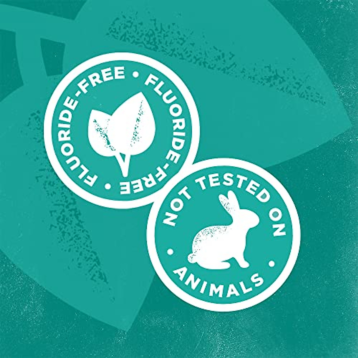 Tom's of Maine Fluoride-Free Propolis & Myrrh Natural Toothpaste, Fennel, 5.5 oz (Pack of 2) (Packaging May Vary)