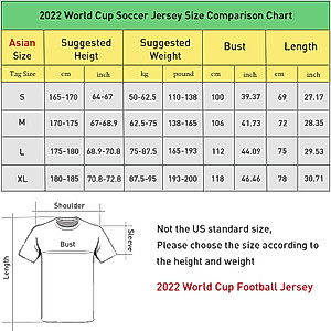 Fan Soccer Jersey Official Brazil 2022 World Cup (Brazil, Small)