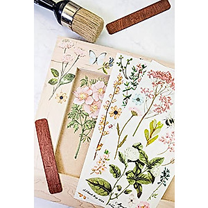 Redesign Decor Transfers - Botanical Paradise - 3 Sheets, 6"x12"