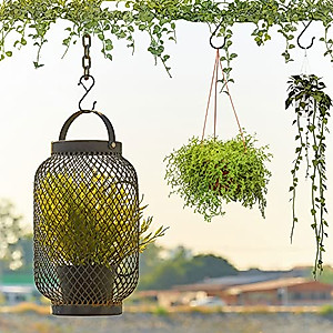 SAGARHR 10PCS S Hooks for Kitchen Utensil and Closet Rod, Rustproof Safety Buckle Design Metal Hanging Plants, Lights, Kitchenware, Pots, Pans, Cups, Clothes, Towels (10, Black)