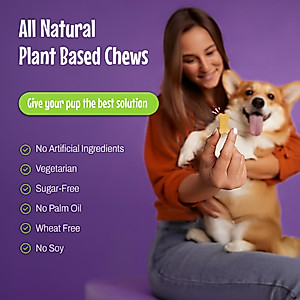 Pawlific Probiotics and Digestive Enzymes for Dogs - Gut Flora, Digestive Health, Diarrhea & Bowel Support - Functional Dog Supplement Soft Chews for Immune System Boost with Pumpkin