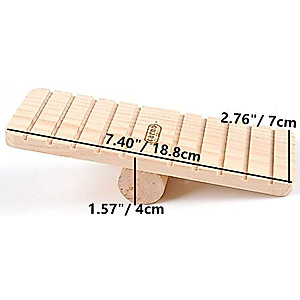 Litewoo Hamster Drinking Water Bottle, Hamster Tunnel Toy