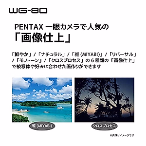 Ricoh WG-80 Orange Waterproof Digital Camera Shockproof Freezeproof Crushproof (International Version)