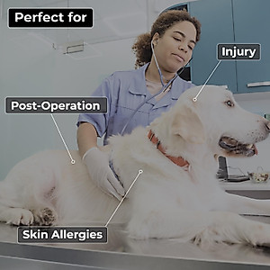 Choola Pet Shark Theme Inflatable Dog Cone Collar (Large) for After Surgery Care Bundled with Pump and Extra Tube