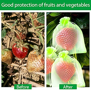 50 Pcs Fruit Protection Bags 6''x8'' Fruit Net Bags with Drawstring Fruit Bags for Fruit, Fruit Protection Bags Vegetable Fruit Net Fruit Cover Mesh Bag for Protecting Fruits(Fruit Green,6 x 8 Inch)