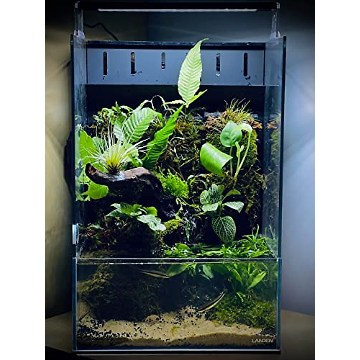LANDEN Panna Natural Driftwood for Aquarium Decor Freshwater Fish Tank(12-14 inches, 30-35cm) 4pcs Terrariums Vivariums Reptile and Amphibian Enclosures Lizard Bearded Dragon Tortoise Various Shapes
