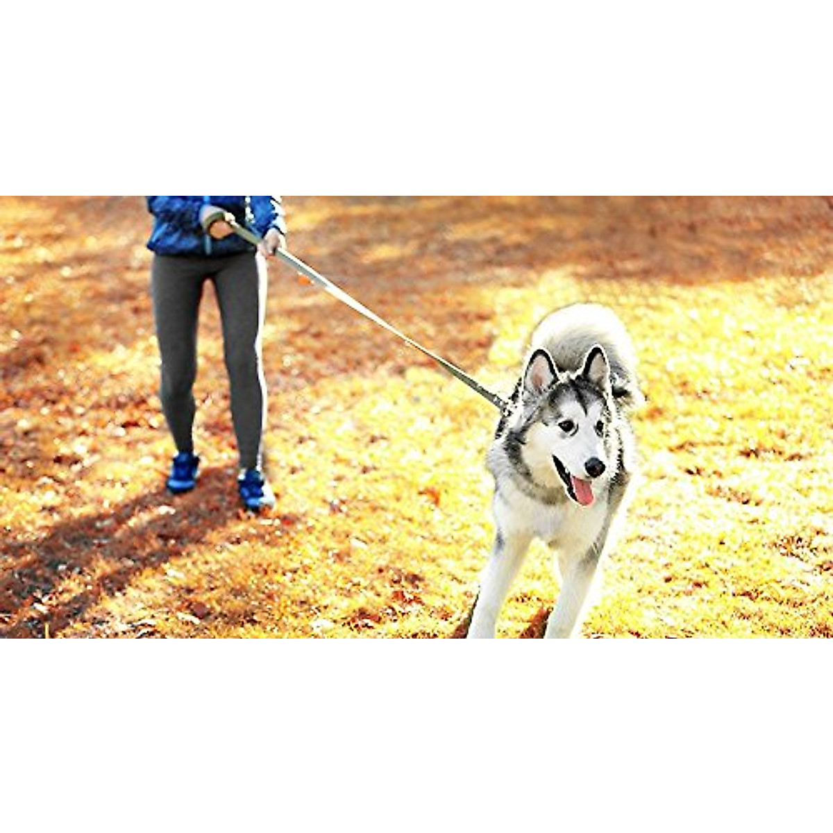 Hip and Joint Supplements for Large Dogs - Premium Hip and Joint Complex - Dog Treats - Healthy Formula - chondroitin Dog - 240 Treats (2 Bottle)