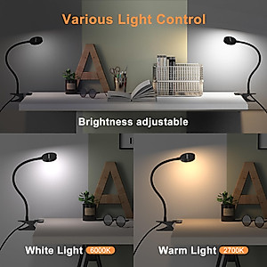 LEPOWER Clip on Light / Book Light / Reading Light with 2 Color Changeable/ Night Light Clip on for Desk, Bed Headboard and Computers (Black)