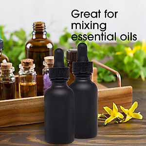 24 Pack Black Coated Boston Round Essential Oils Aromatherapy Glass Bottles Jar With Black dropper cap, 1oz