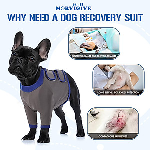 MORVIGIVE Dog Recovery Sleeves for Front Legs,Dog Sleeves to Prevent Licking,Breathable Dog Front Recovery Sleeve Right Left Leg,Dog Leg Sleeve After Surgery for Medium to Large Dogs,Grey 2XL Size