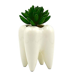 4.7" Tooth Planter Pot/Bonsai Pot/Succulent Planter/Pencil Cup/Toorhbrush Holder 3D Shaped Multipurpose