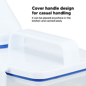 Rice Storage Container, Plastic Rice Dispenser Bin with Measuring Cup, Airtight Grain Dispenser with Claer Scale, Clear Kitchen Food Dispenser for Rice, Beans, Grains, Small Dry Food(2kg White)