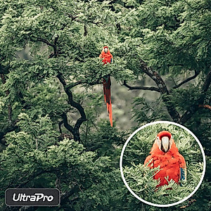 Hi-Resolution 500mm/1000mm Manual Preset Telephoto Reflex Lens for Canon EOS Rebel T3i, T4i, T5, T5i, T6, T7, T6i, T6s, T7i, SL1, SL2, EOS 60D, 70D, 77D, 80D, 5D III, 5D IV, EOS 7D, 7D II, 90D Cameras