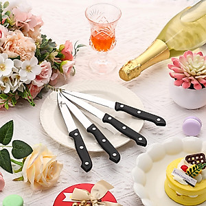 Lasnten 100 Pcs 8.78 Inches Stainless Steel Steak Knives Set Pointed Tip Steak Knives Plastic Handle Kitchen Steak Knife for Restaurant Tableware Camping Wedding Party, Black