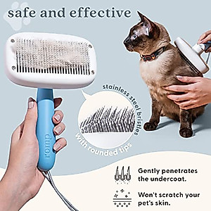 Pet Slicker Brush - Dog & Cat Brush for Shedding & Grooming - Self-Cleaning Undercoat Dematting & Detangling Brushes for Long & Short Haired Pets (Cotton Blue)