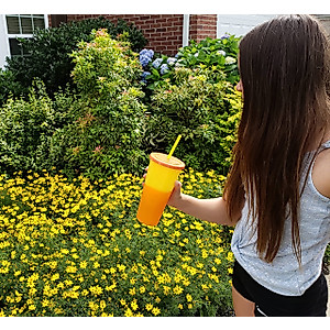 Essential Drinkware 24oz Instant Color Changing Cups Set of 4 Reusable Plastic Tumblers with Screw on Lids and Color Straws