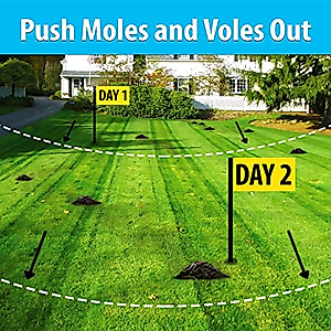 Nature's MACE Mole & Vole Repellent 22lb Granular/Covers 17,600 Sq. Ft. / Keep Moles & Voles Out of Your Lawn and Garden/Guaranteed to Repel Moles/Safe to use Around Home, Children, & Plants