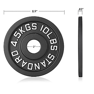 Philosophy Gym Set of 2 Standard Cast Iron Olympic 2-inch Weight Plates (10 LB each)