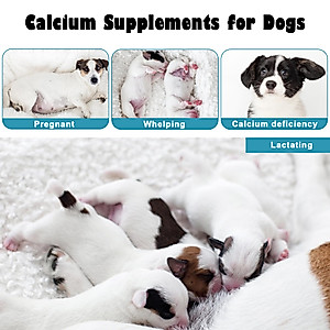Oral Calcium for Dogs(30 ml Paste), Fast Absorbing Calcium Supplement for Dogs Nursing, Whelping, Calcium Deficiency, Supporting Efficient Labor