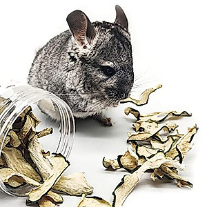 X-pet Rabbit Chew Toys and Chinchilla Treats, All Natural Material Suitable for Guinea Pig, Chinchilla, Hamster and Other Small Animals