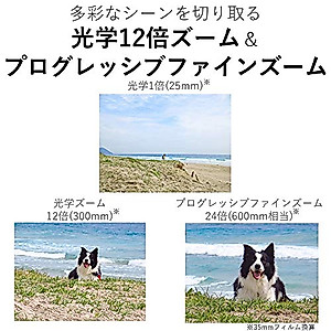 Canon compact digital camera IXY 650 12x optical zoom IXY650 (SL) (Silver)--(Japan Import-No Warranty)