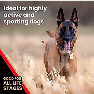 VICTOR Super Premium Dog Food – High Energy Dry Dog Food for Active Dogs – Gluten Free Dog Food with Beef and Chicken Meal Proteins for Sporting Dogs – All Breeds and All Life Stages, 5 lb