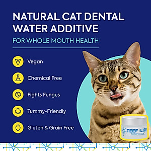 TEEF! for Life Protektin30 Plant-Derived Dental Water Additive for Cats, Daily Dental Care, Clinically-Proven Formula Naturally Fights Plaque and Tartar, Dental Kit with 30 Servings