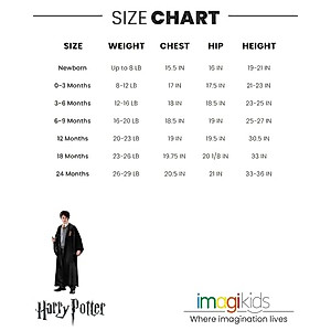 Harry Potter Infant Baby Boys Fleece Pullover Hoodie Bodysuit and Pants 3 Piece Outfit Set Maroon 18 Months