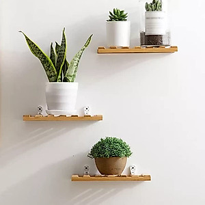 PDGJG Living Room Decoration Frame Wall Hanging Flower Stand Bedroom Wall Partition Potted Plant Shelf
