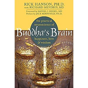 Buddha's Brain: The Practical Neuroscience of Happiness, Love, and Wisdom