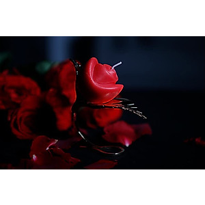 Zestler Bundle Stainless Steel Wax Removal Blade + 6 Red Low Temperature Body Safe Rose Candle Refills