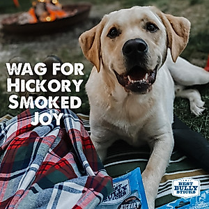 Premium Hickory Smoked 100% Beef Burger Slider Crunchy Dog Treats - No Additives, Made of 100% Natural Bully Sticks - Bite-Sized & Easily digestible Dog Treats for Training, Rewards - 1/2 lb Bag