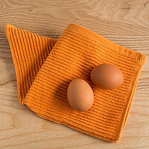 Now Designs Ripple Kitchen Dishcloth, Set of 4, Kumquat Orange