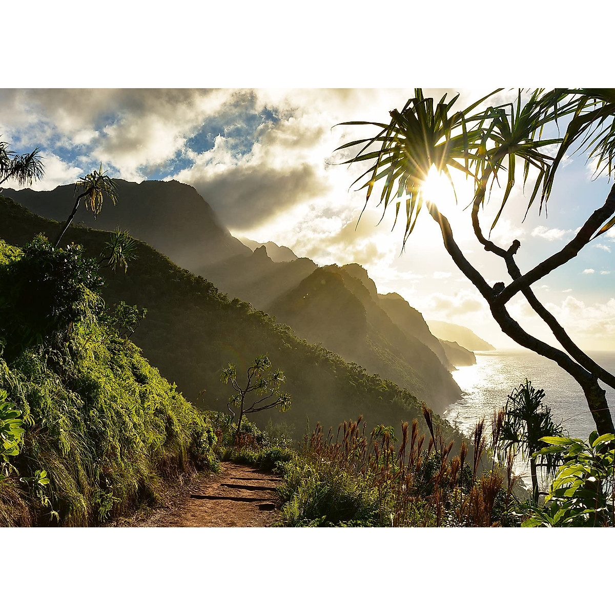 Ravensburger Kalalau Trail Kauai Hawaii 1000 Piece Jigsaw Puzzles for Adults & Kids Age 14 Years Up - Landscape Puzzle [Amazon Exclusive]