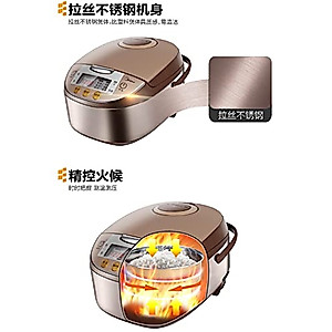 Midea Micom Rice Cooker, Digital Multi-Functional Ricer Cooker/Steamer, Brown Rice, Slow Cooker (3L/5.5Cup, Champange) MB-FS3017