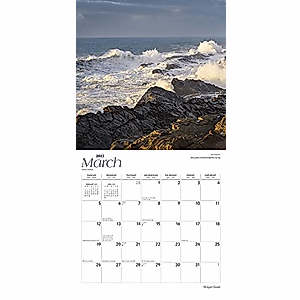 Oregon Coast | 2023 12 x 24 Inch Monthly Square Wall Calendar | Foil Stamped Cover | BrownTrout | USA United States of America Pacific West State Ocean Sea Nature
