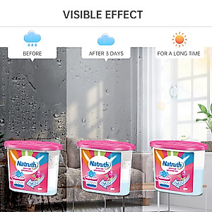 NATRUTH Moisture Absorbers Boxes (6 PACKS)，12.5 Oz With Rose Scent,Portable Closet Dehumidifier, Odor Eliminator Absorber Bucket,Humidity Absorber,Air Dehumidifier for Closet,Bathrooms, Kitchen &Boats