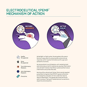 Calmer Canine Device Only - 5 in. Anxiety Treatment Device for Small and Medium Sized Dogs