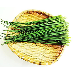 Chives Allium Schoenoprasum Wild Onion Wild Garlic Herb Garden Seeds for Planting About 100 Seeds
