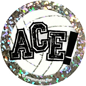 Assorted Volleyball Sports Sparkle Sticker Sheet Pack - 102 Stickers