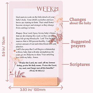 Sincerez Pregnancy Prayer Cards,First Time Mom to Be Gift,Pregnancy Must Haves,Pregnancy Journals Gifts for First Time Moms,Pregnancy&Baby Announcement,Expecting Parents to Be, Milestone Cards