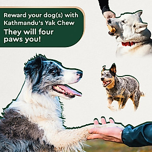 KATHMANDU'S Authentic Yak Cheese Himalayan Dog Chews - All Natural and Protein-Rich Nutrition Dog Treats, Long Lasting Chews for Aggressive Chewers, Odor & Gluten Free Yak Chew | Large (Pack of 2)