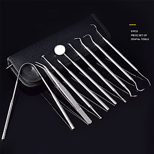 9Pcs Stainless Steel Dental Tools Dentist Teeth Clean With Leather Case